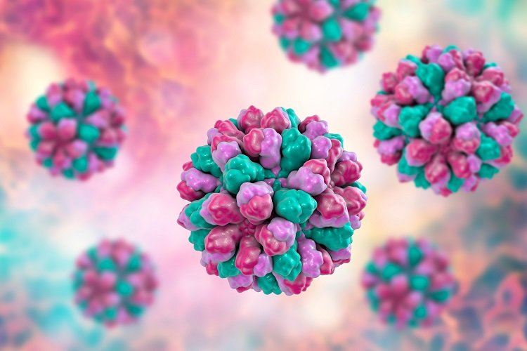 How can we reduce the spread of Norovirus at home? - Vernacare